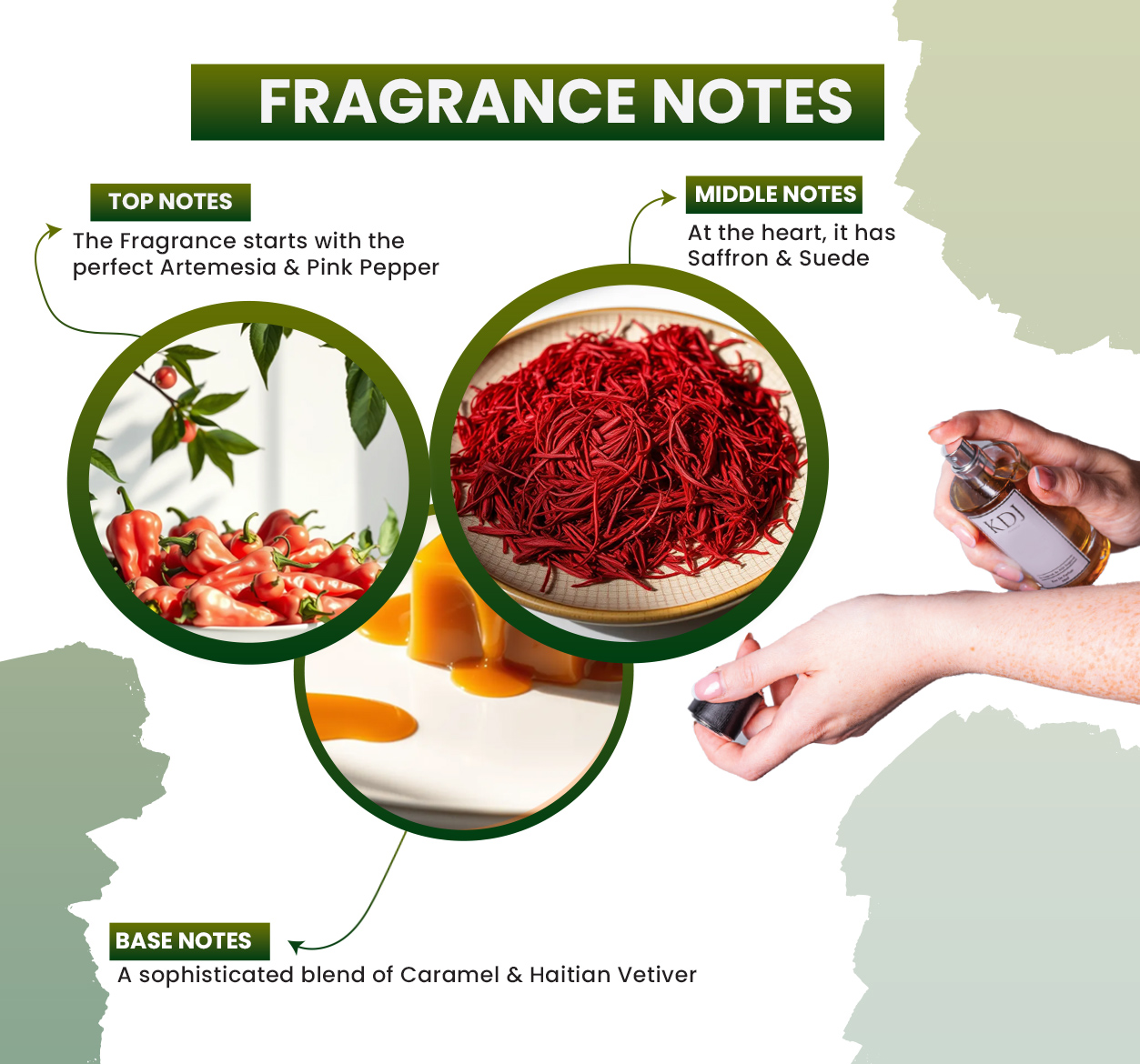 KDJ Inspired – Prada Inspired Collection – Notes Similar to Luna Rossa ...