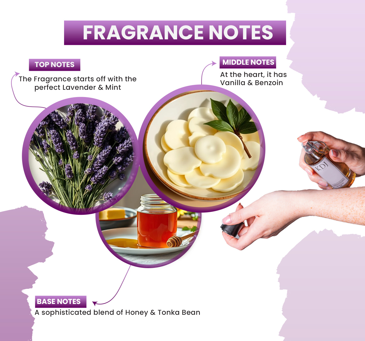 KDJ Inspired – Jean Paul Gaultier Inspired Collection – Notes Similar ...